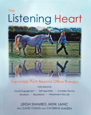 Training & Certification For Equine Facilitated Psychotherapy - H.E.A.L.